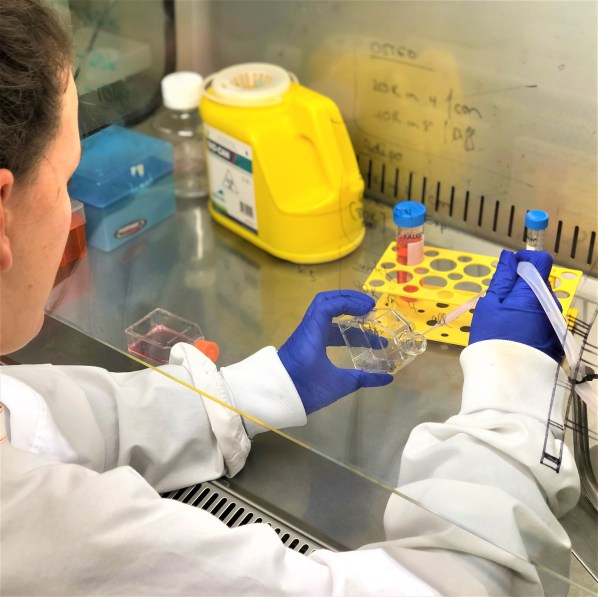 Our labs – Frithlab