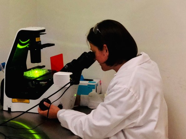 Our labs – Frithlab